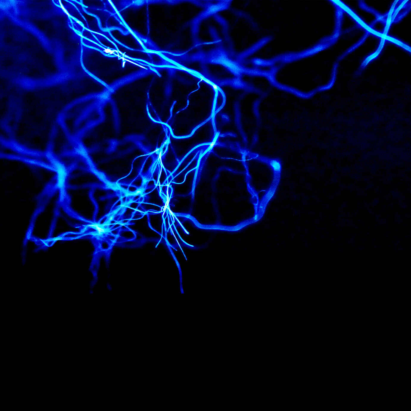 OfG Design Award 2022 – OfG / Online-Schule für Gestaltung